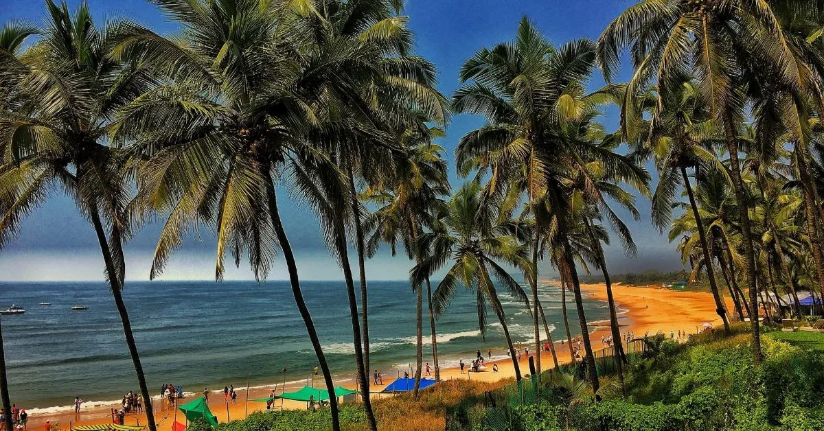 Ultimate Guide: Must-Visit Places in Candolim for Tourists - Local Tourism