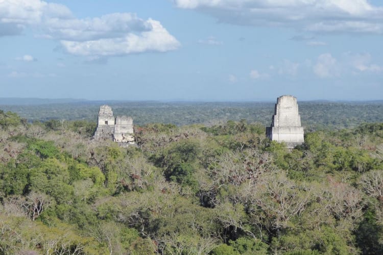 Explore The Essential Highlights of Petén - Maya Biosphere Reserve