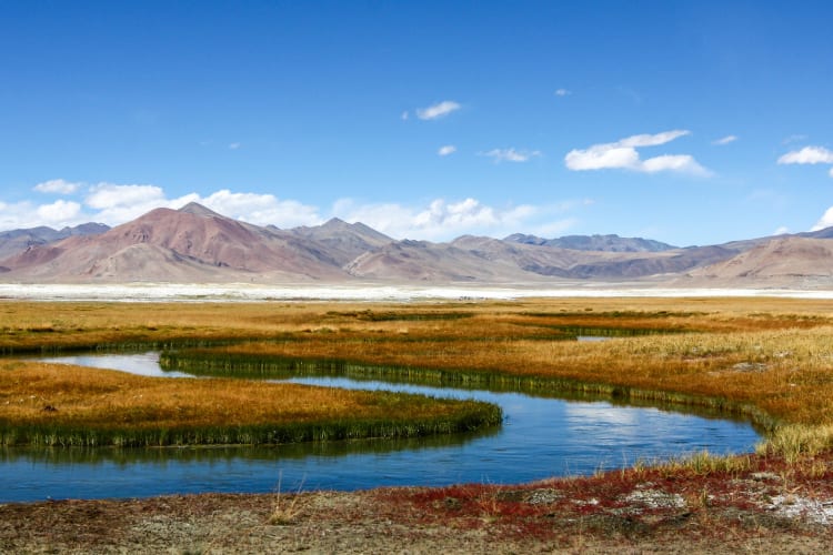 Explore the Changpa Nomadic Life on the Changthang Plateau