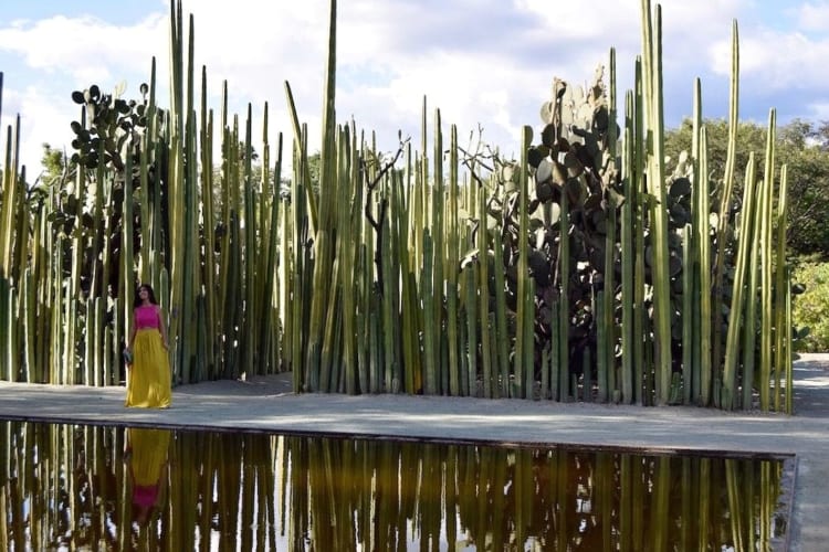 Culture and History of Oaxaca in Mexico | Lokal Travel