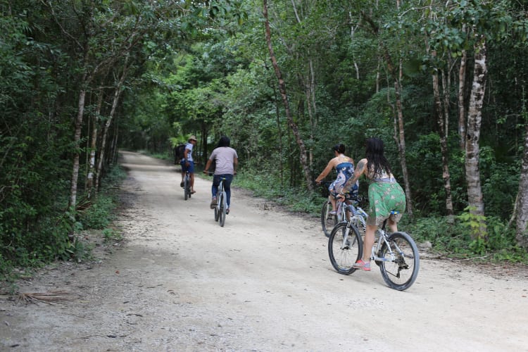 Discover Tulum's Secrets on a Guided Bike Tour Adventure