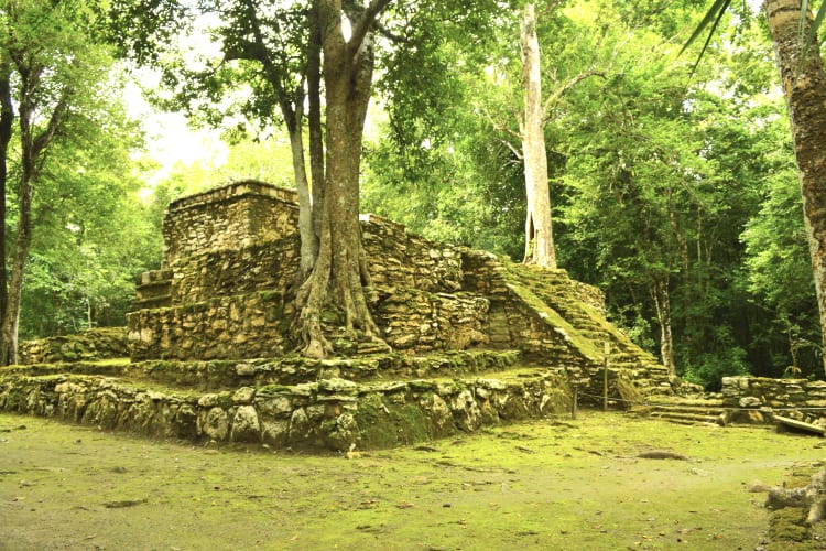 Explore Muyil Ruins and Sian Ka'an Canals with Expert Maya Guides