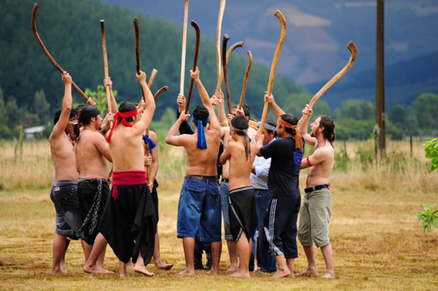 Photos of Nahuelbuta Mountains and Mapuche Culture in Chile
