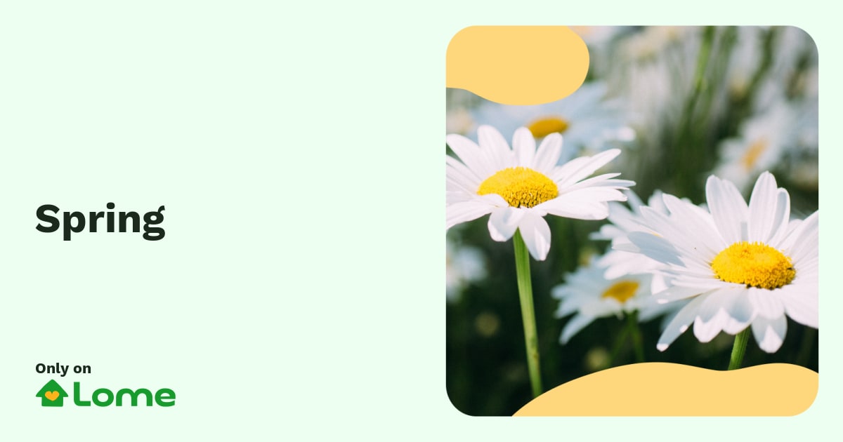 Spring | Seasons Sign Ups and Invitation Themes on Lome