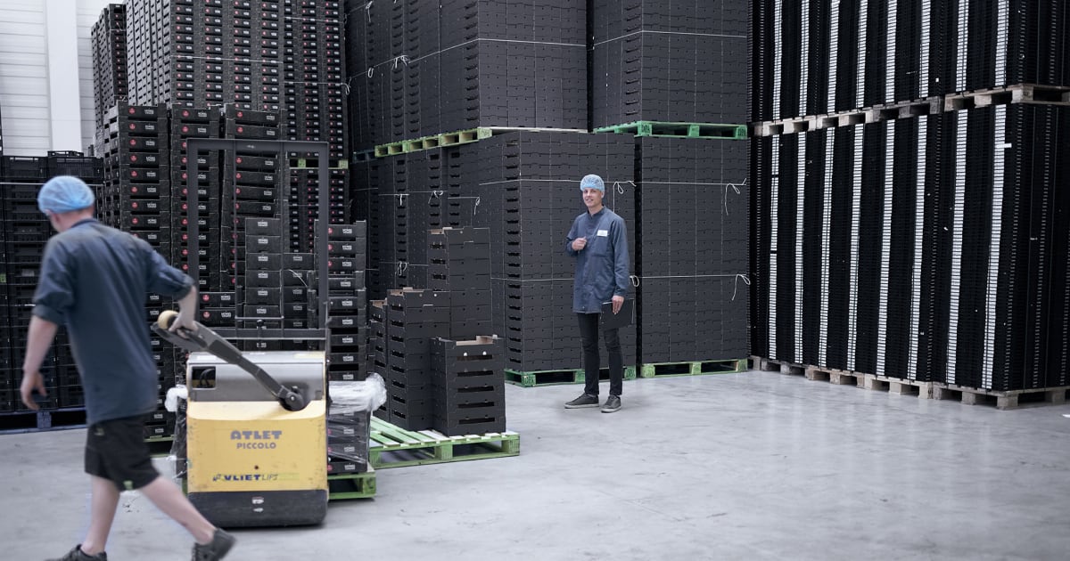 (SENIOR) MACHINE OPERATOR | Looye Kwekers