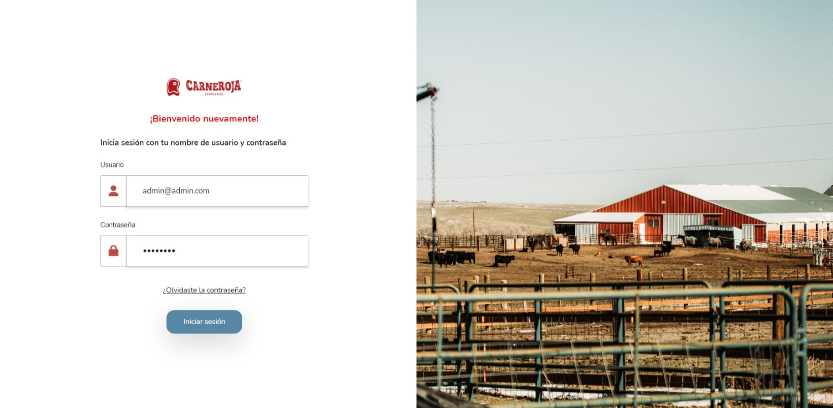 Luis Ángel Núñez - Full Stack Developer