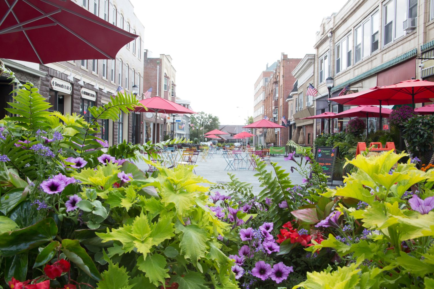 Downtown Somerville Alliance - Stagehand