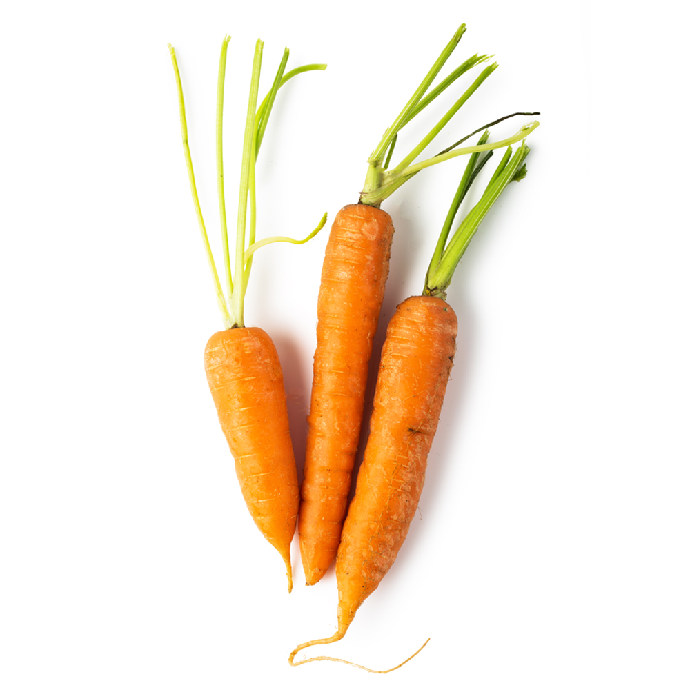 Fresh Carrot Infusion | Lush Fresh Handmade Cosmetics UK