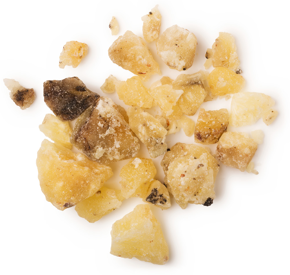 Huile essentielle d’élémi (Canarium commune) | Lush France