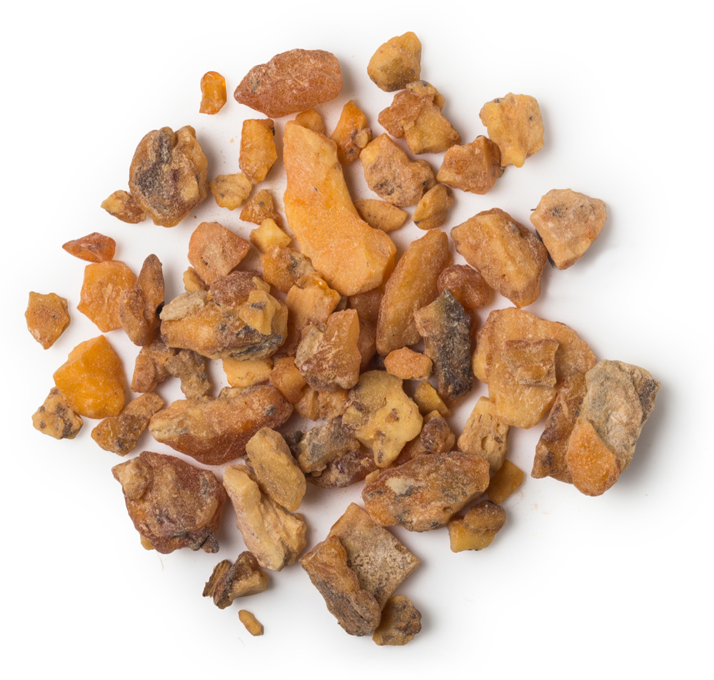 Resina de Benjuí | Lush España