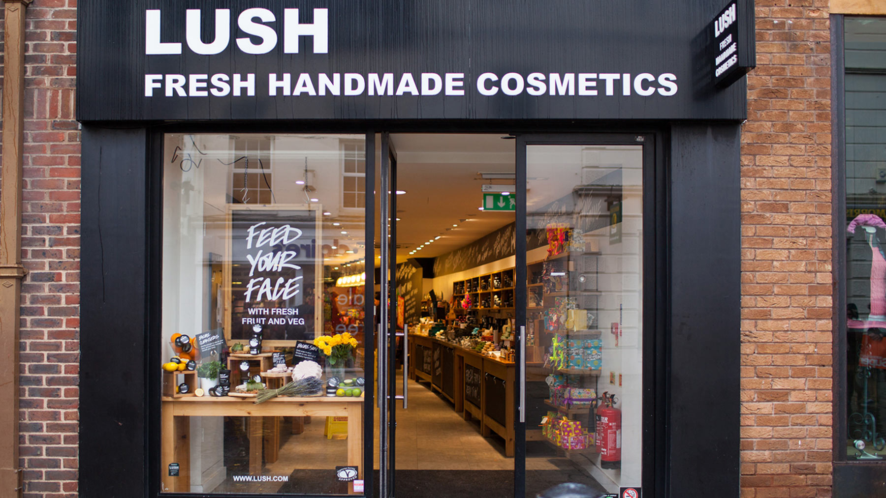 5 More LUSH Products You Need In Your Life