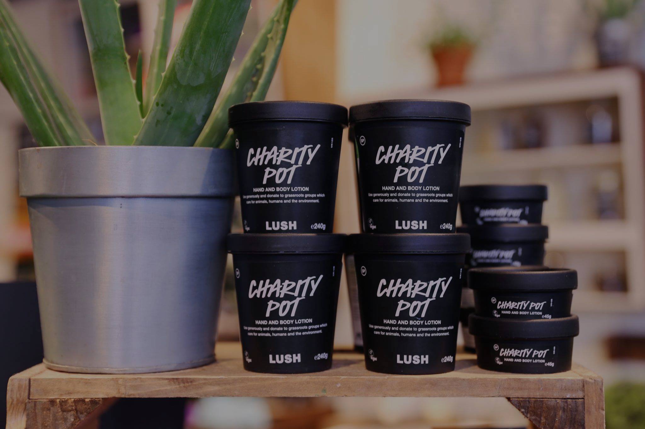 The Ways We Give - Lush Cosmetics Australia