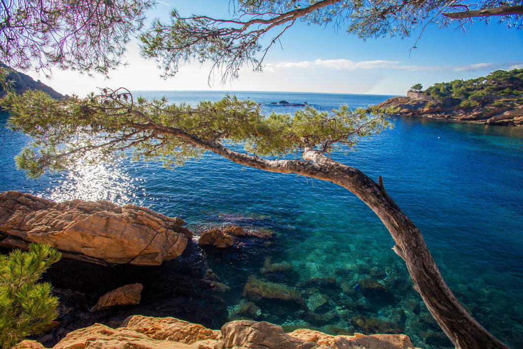 Lou Souleï - Camping de luxe Bouches-du-Rhône - Carry-le-Rouet
