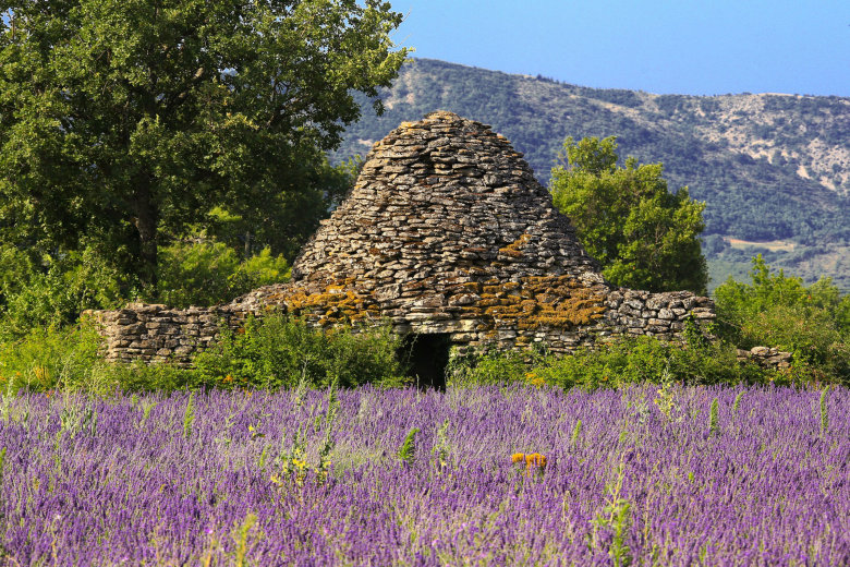 Le Luberon - Luxury Campsite Vaucluse - Apt