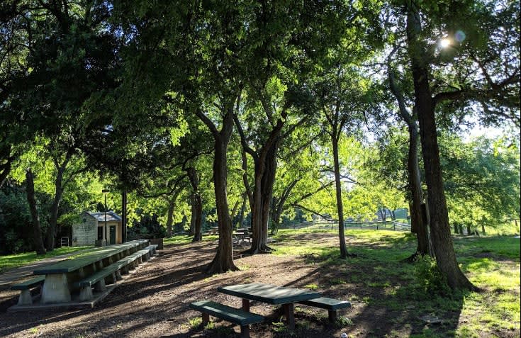 Allandale | Community Guide | Juice Homes