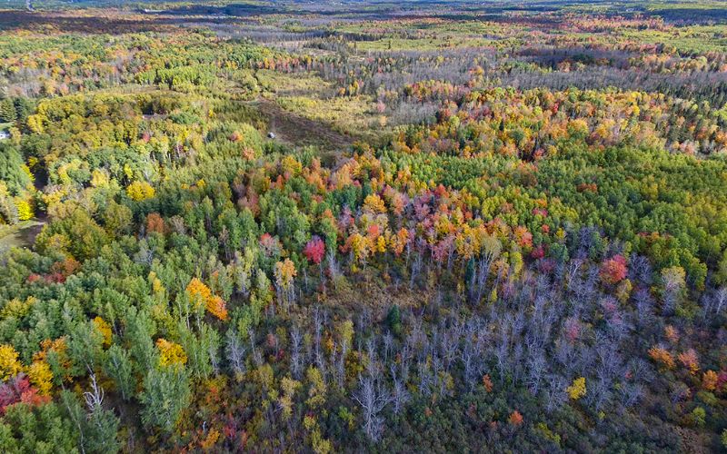 Think Minnesota | Minnesota REALTORS®