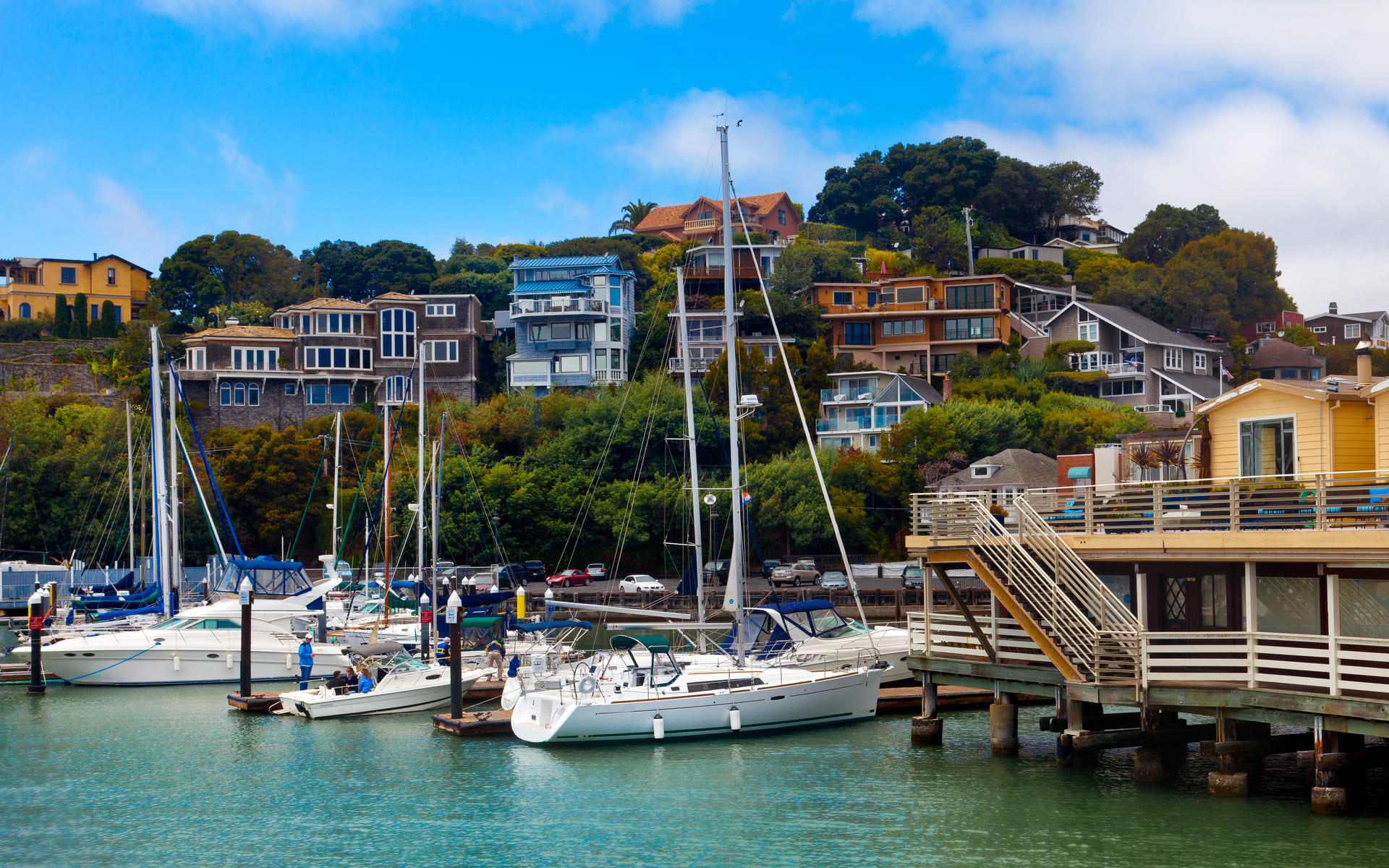 Tiburon | Community Guide | Janet Williamson & Sally Williamson