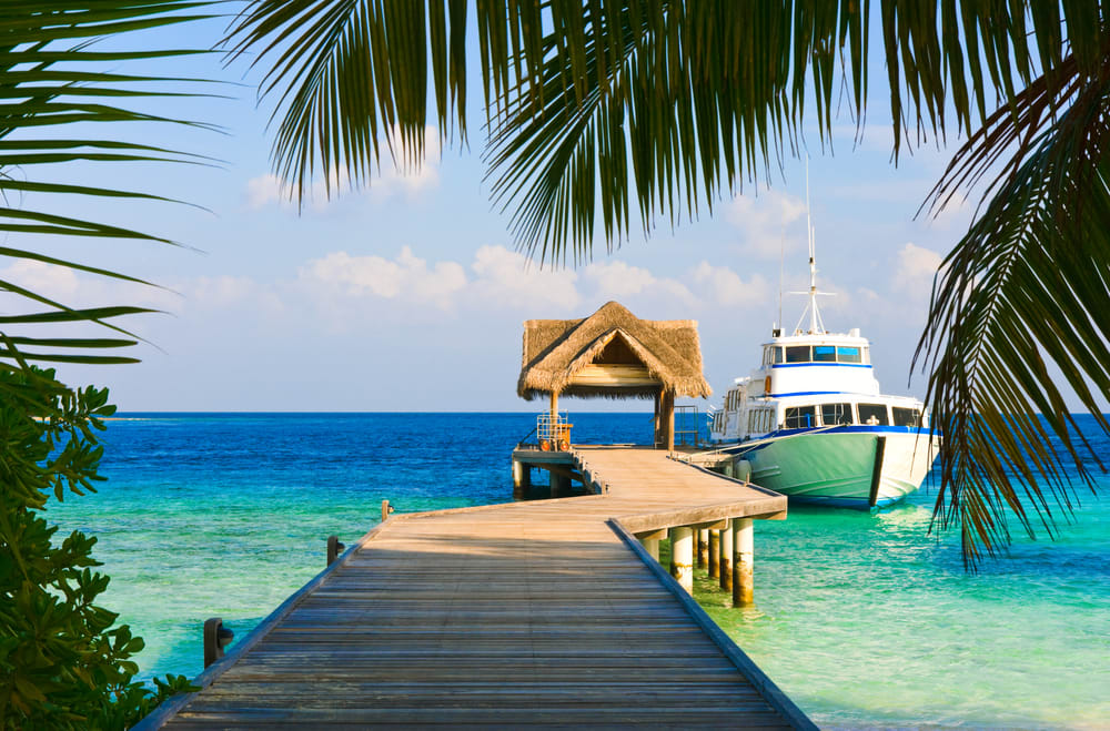 Bree Bornstein: Premier Rancho Santa Fe Real Estate Agent