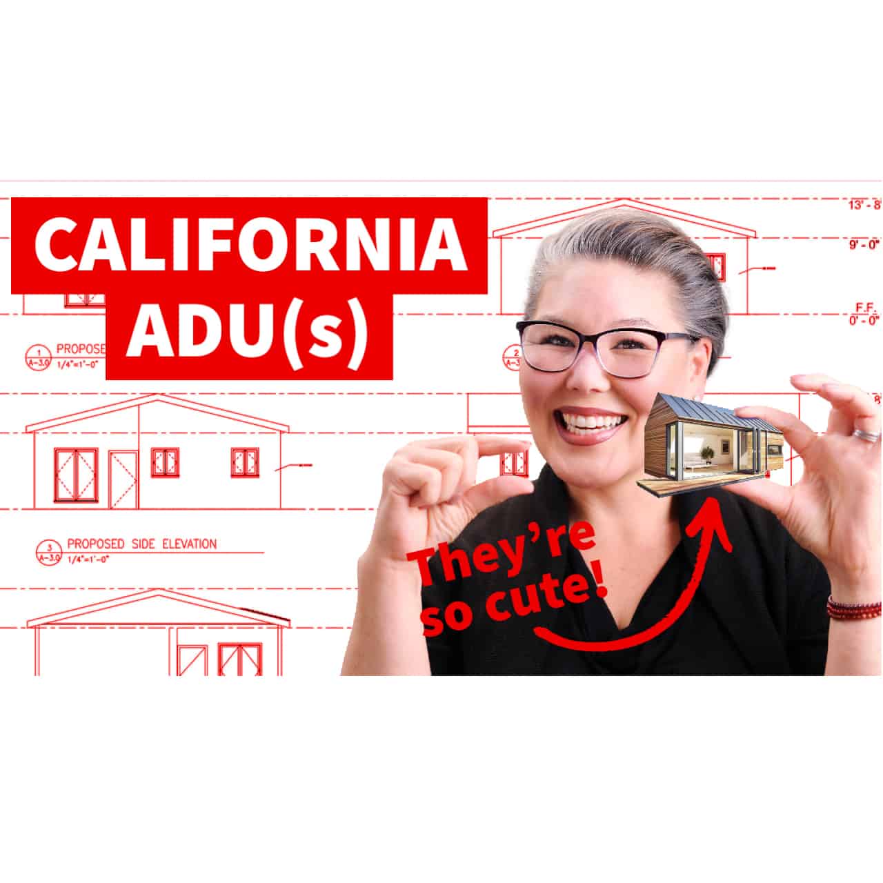 California ADU - What's the Big Deal with these Tiny Homes? - Realm ...