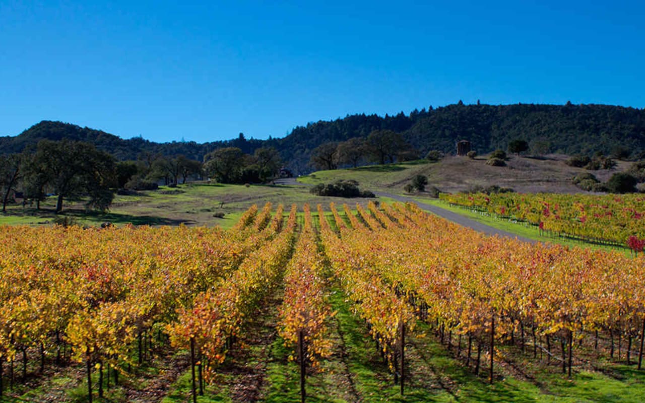10 Reasons to Visit Napa in the Fall | Yvonne Rich Exclusive Estates