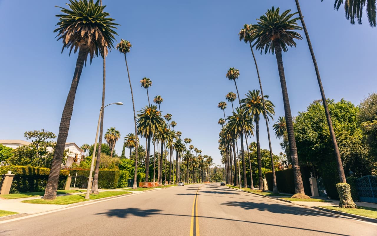 Barbra Stover | Beverly Hills Real Estate Agent