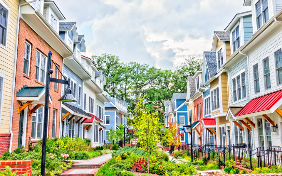 Silver Spring | Neighborhood Guide | Gitika Kaul