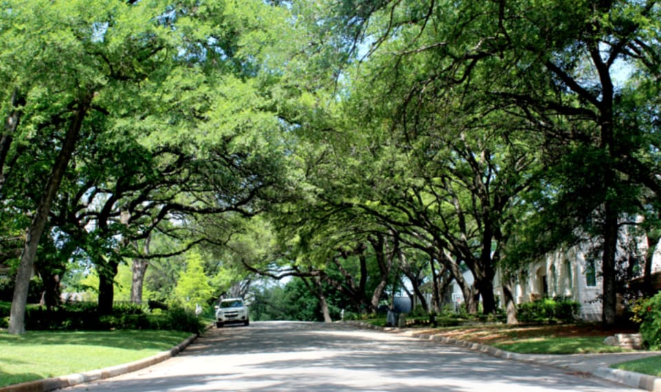 Pemberton Heights | Community Guide | Jonathan Pattie | Austin TX Real ...