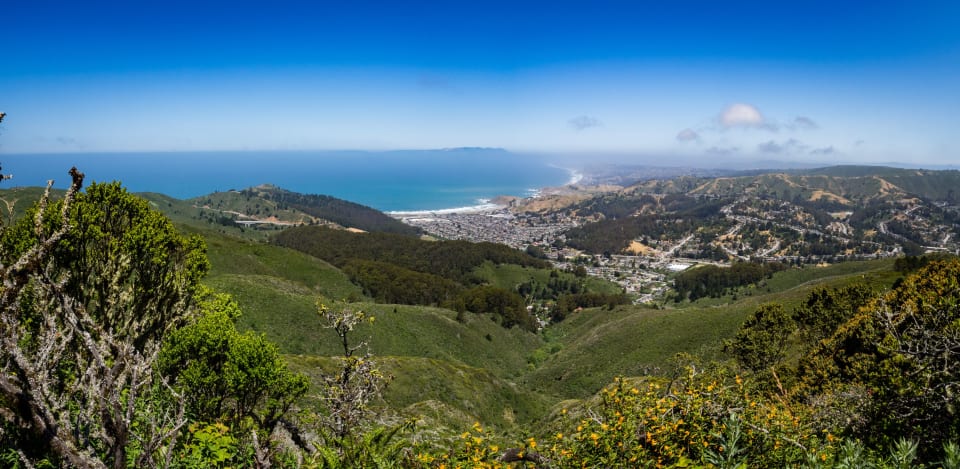 Pacifica | Community Guide | The Serdy Team