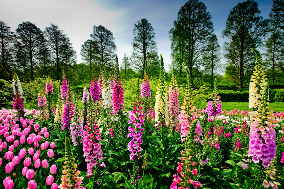 Top 5 Arboretums & Gardens to Visit This Season | Blog | Melissa Walter