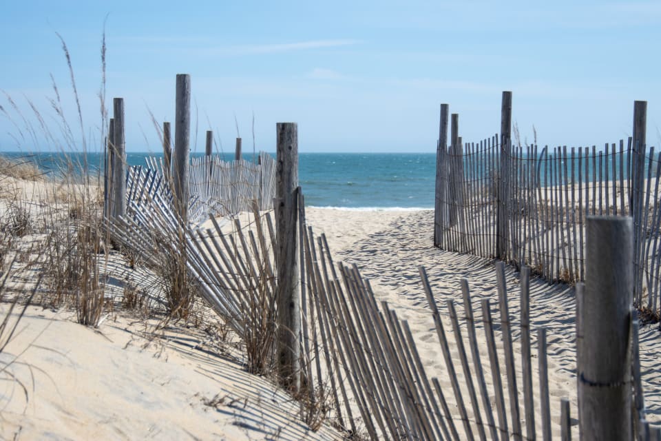 Best Beach Towns to Visit near DC This Summer | David Hatef