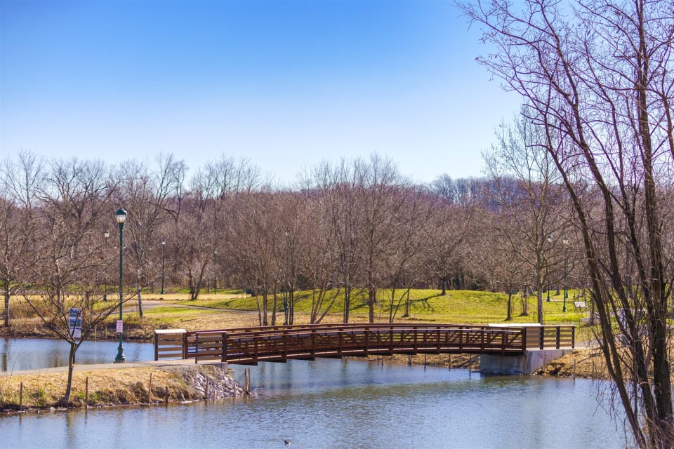 Alexandria | Community Guide | Cameron Station