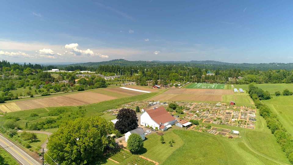 Something New at Luscher Farms - Opt Real Estate