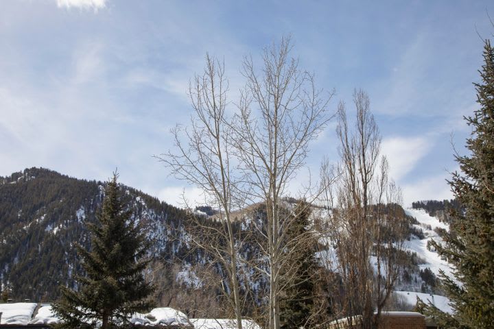 Justin Addison | Aspen Real Estate Agent & Realtor