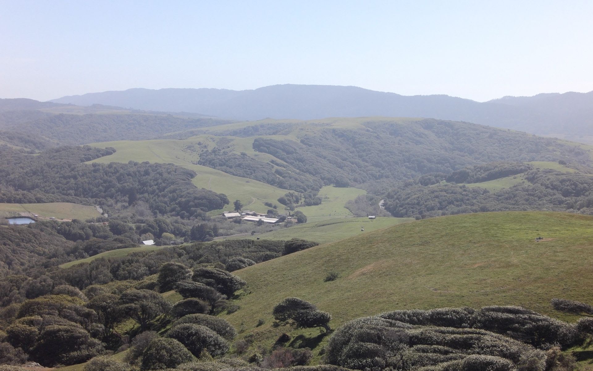 Contact | Martinelli Ranch | Peter Maselli