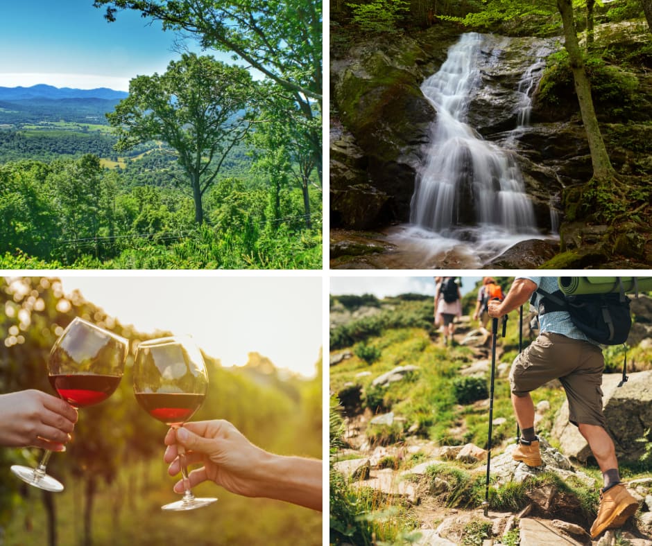 Explore the Best of Nelson County, Virginia: Journey by Route 151