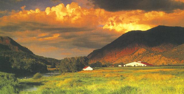 Diamond Star Ranch | Development