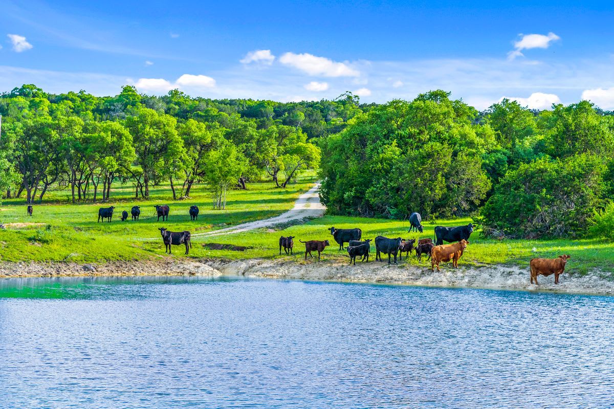 DIAMOND G RANCH | 650.16 ACRES