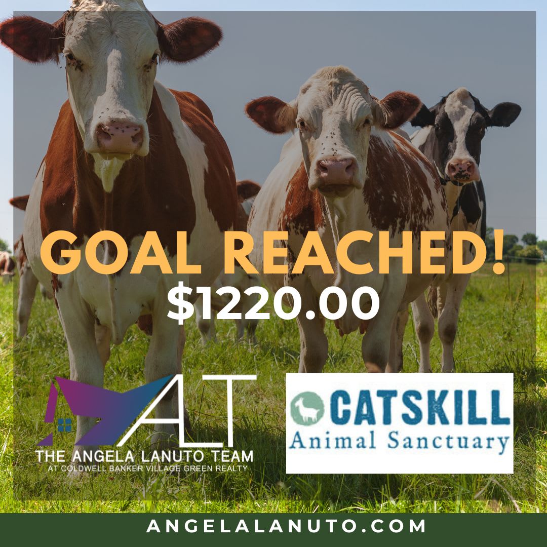 Meet the The Angela Lanuto Team Real Estate Group