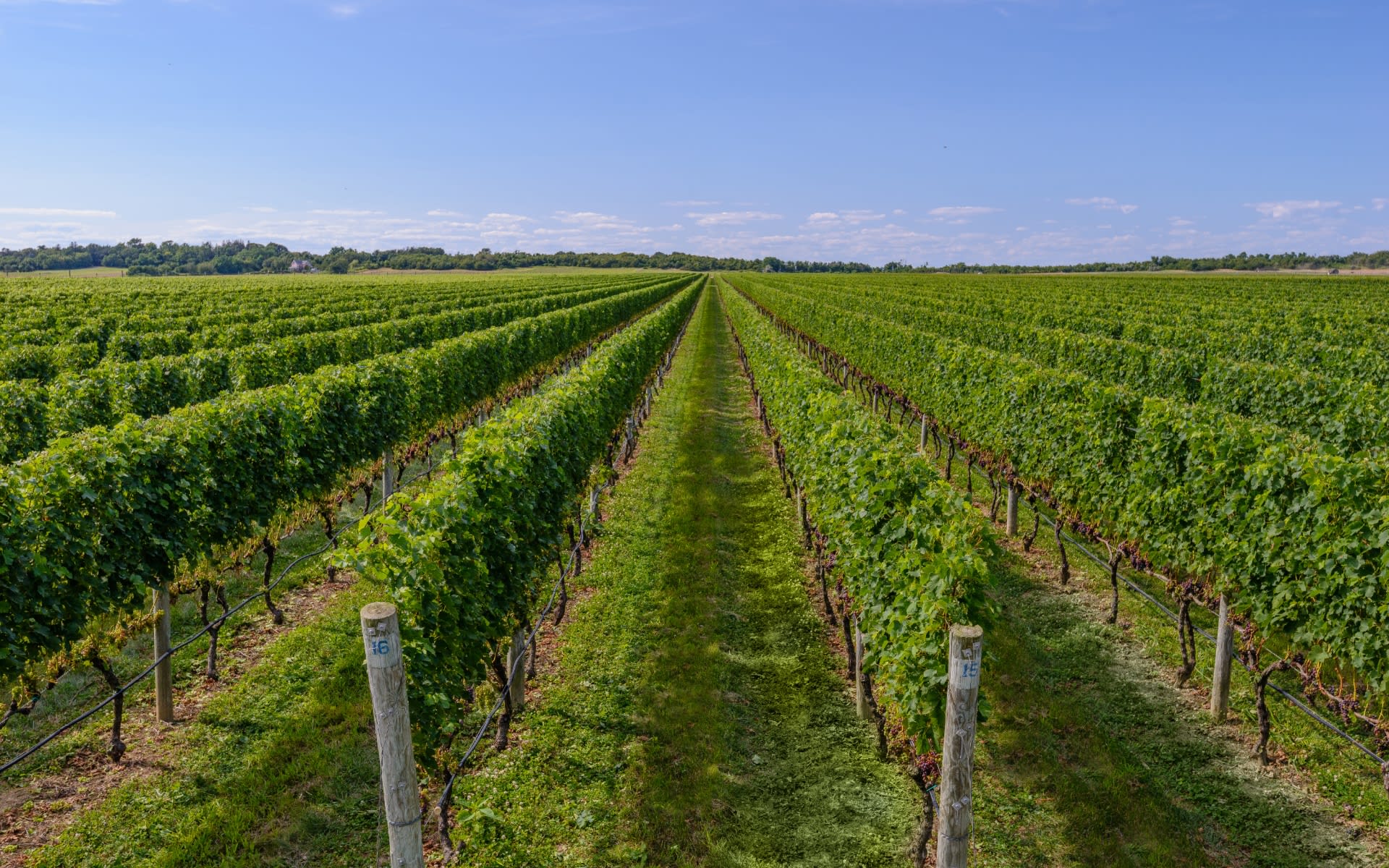 Jennifer Friedberg | Hamptons Luxury Real Estate