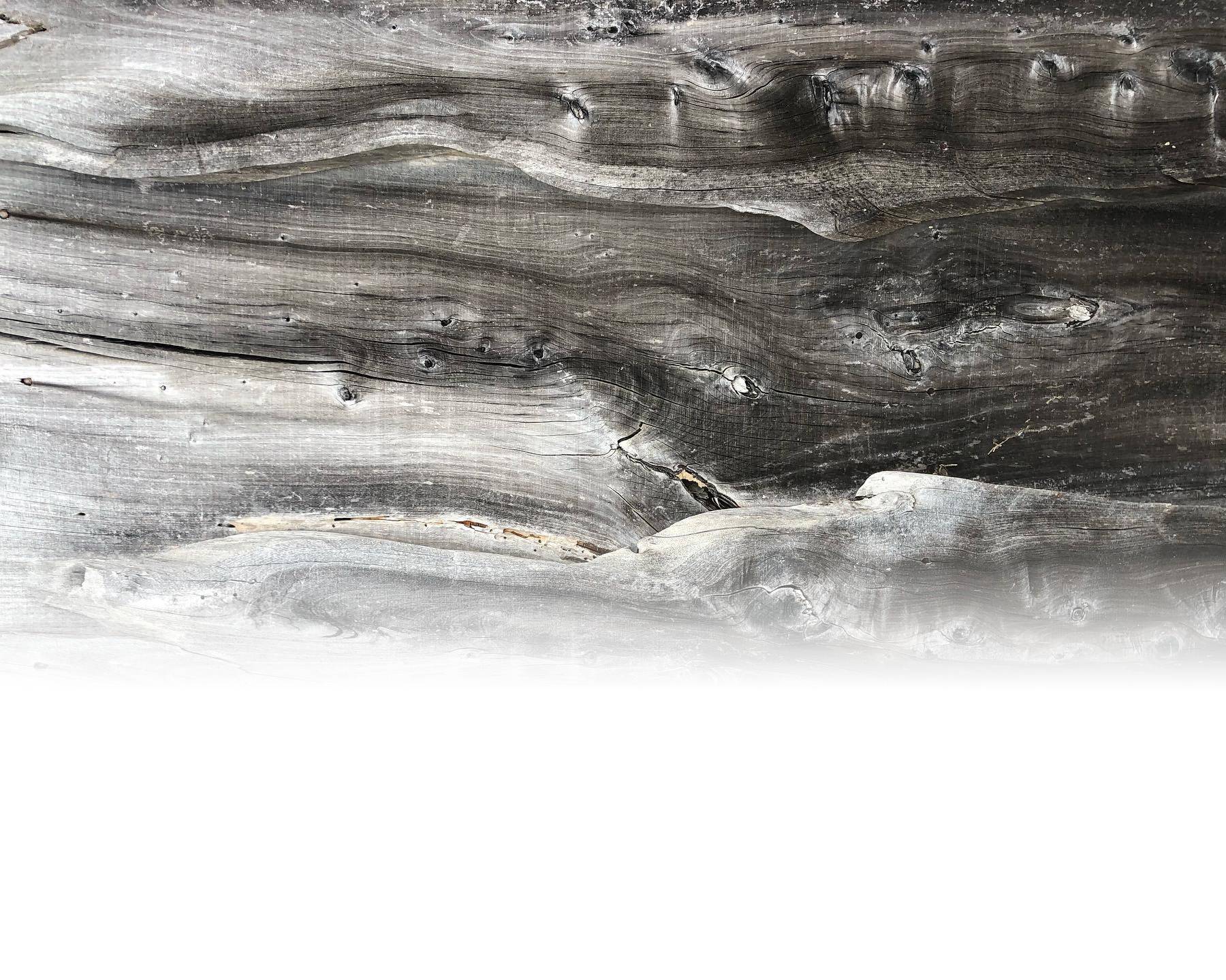 Meet the Covert at Modlin Group Hamptons Real Estate Team