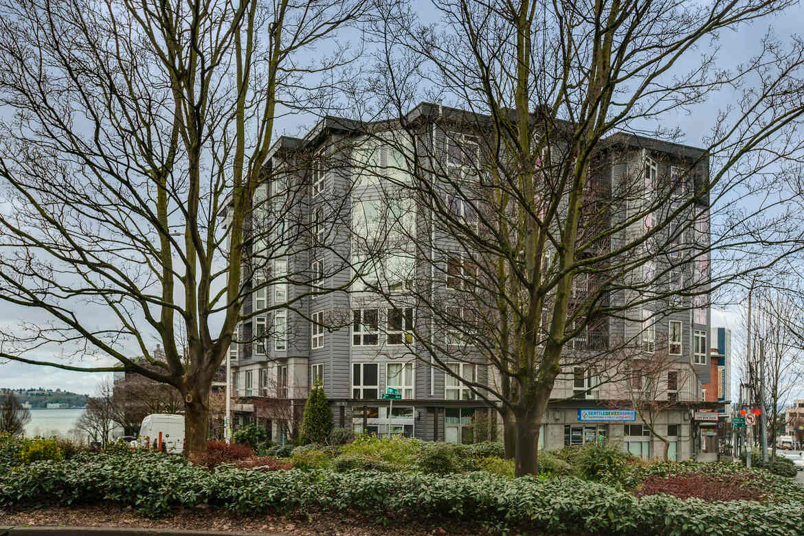 Matae | Development | Jeff Reynolds