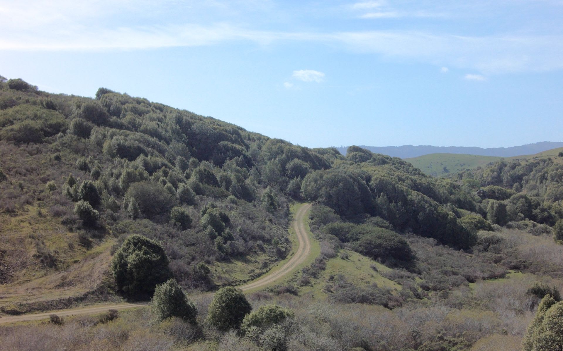 History | Martinelli Ranch | Peter Maselli