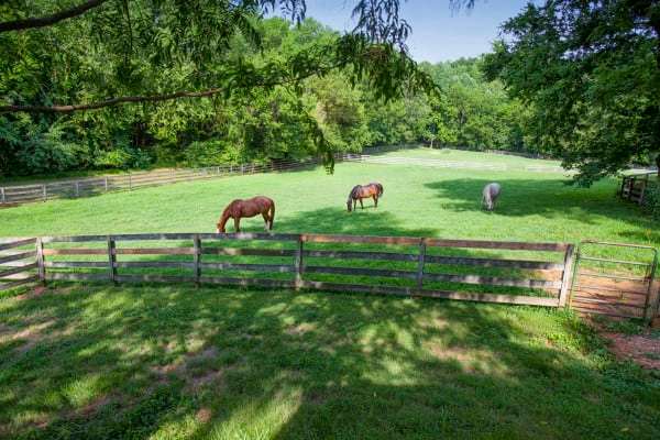 Managing Your Horse Property’s Pastures | Blog | Legacy Farms and Ranches