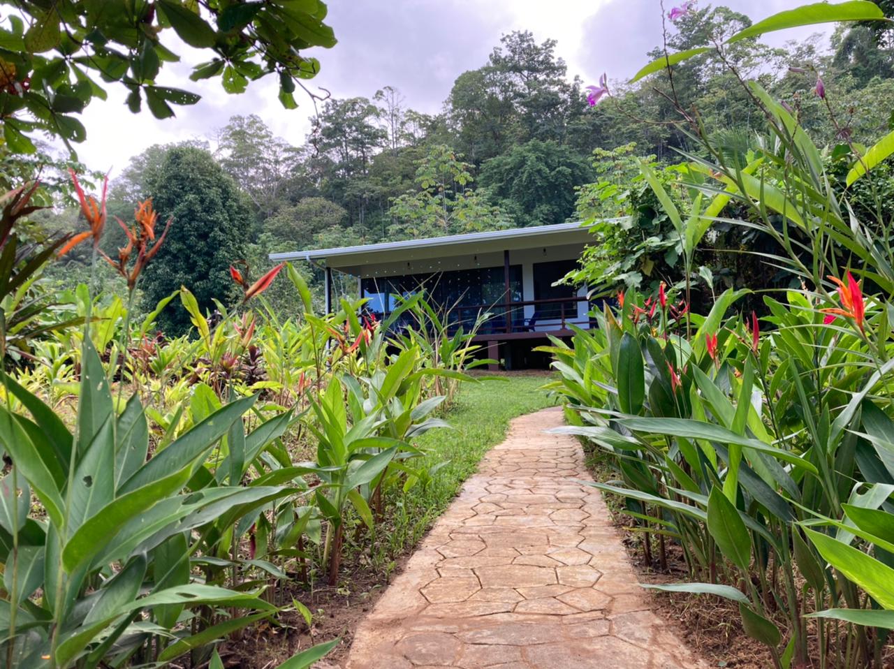 Discover Paradise: Eden Corcovado - Your Gateway to Costa Rica's ...