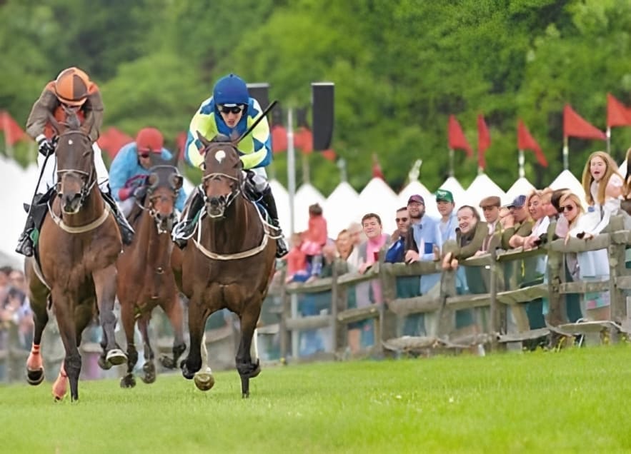 Great Valley | Neighborhood Guide