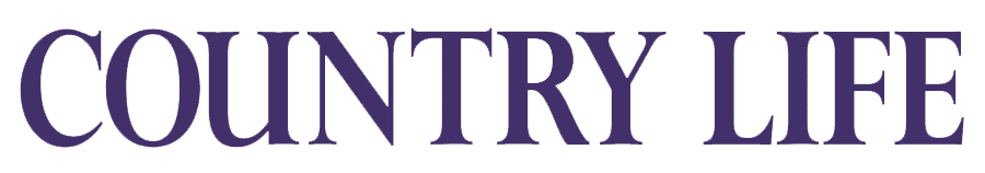 Press & Media | Sheryl Epstein-Romano