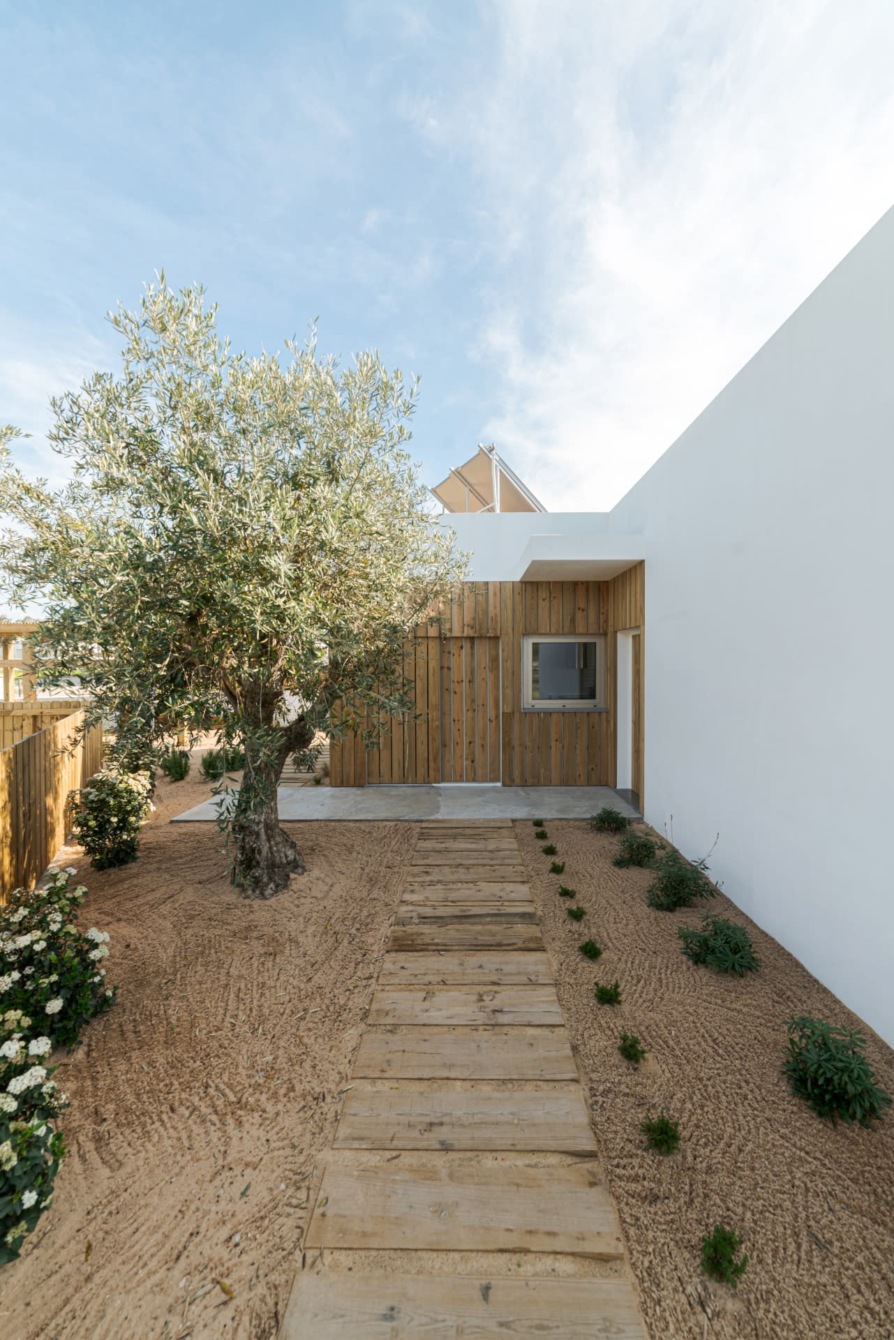 Kelly Burchill | South Tampa Real Estate Expert