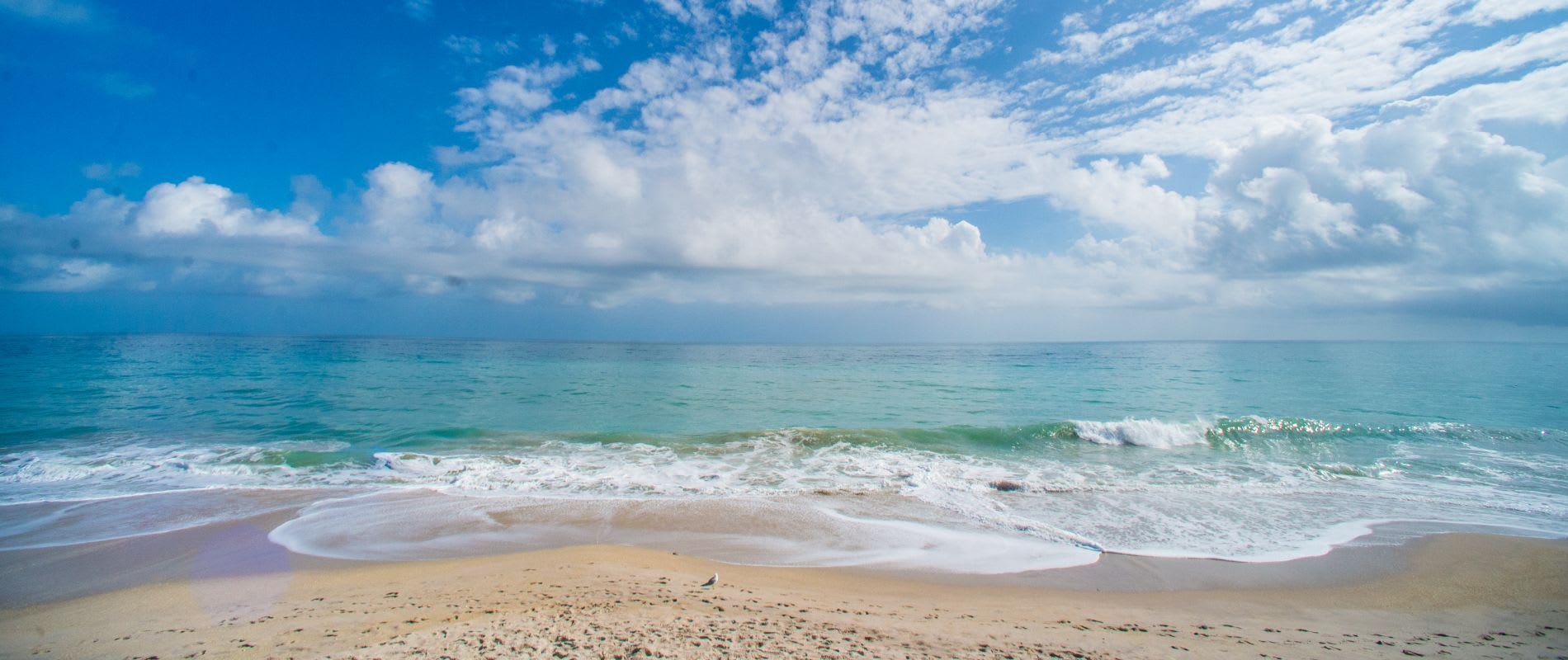 Susie Wilson Real Estate, P.A. | Florida Real Estate Agents