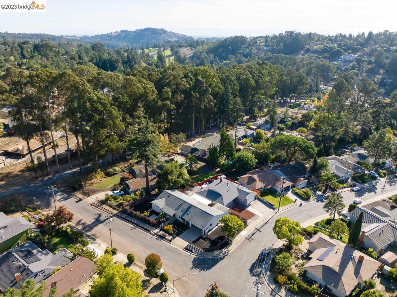 Katrina Carter | San Leandro, CA Real Estate Agent