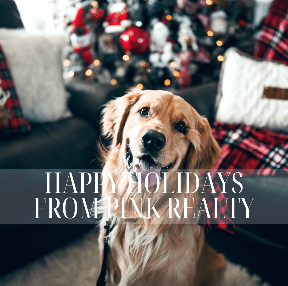 Pink Realty | Colorado Real Estate Experts